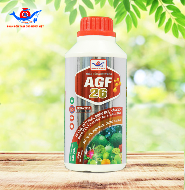 AGF 26 Nuôi Trái | Kích Thích Tăng Trưởng | Nuôi Trái Lớn Nhanh